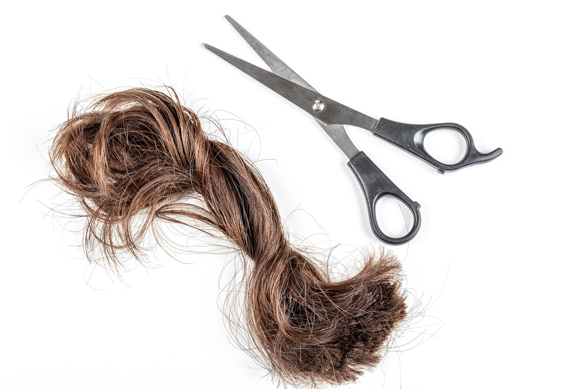 Damaged Hair and the Difficulties of Writing – The Pine Needle